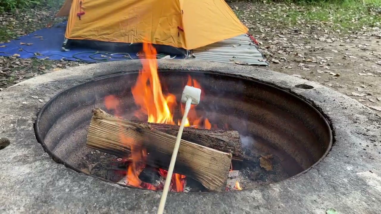 Let's Go Camping: Warren Dunes Edition