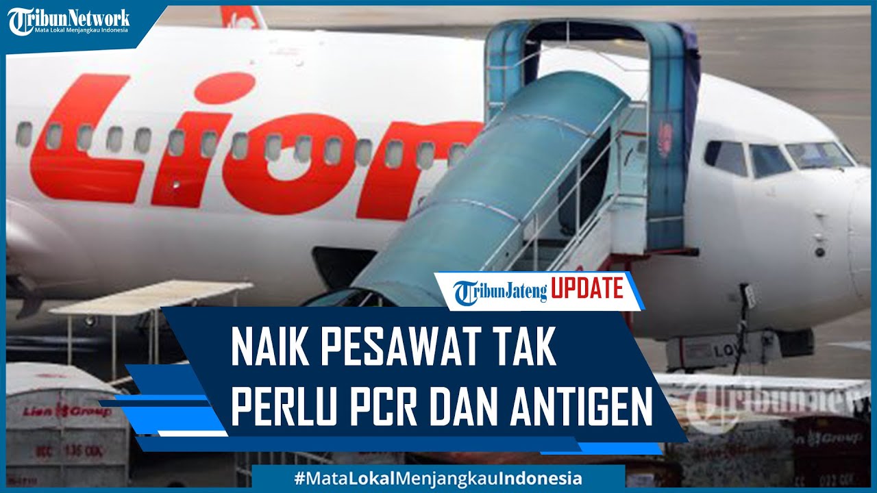 Naik Pesawat Tak Perlu Tes PCR dan Antigen Jika Sudah 2 Kali Vaksin
