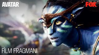 Avatar yayını: İnternette nereden film izlenir?