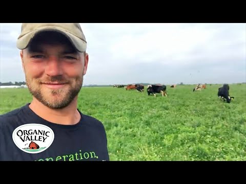 Organic Dairy Farm Tour | Jordan Settlage | Organic Valley