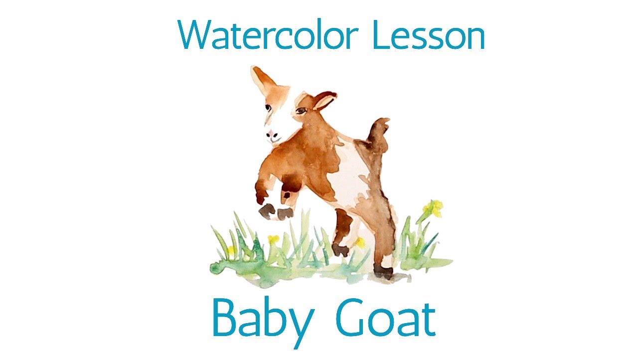 95. How To Paint A Baby Goat With Watercolor