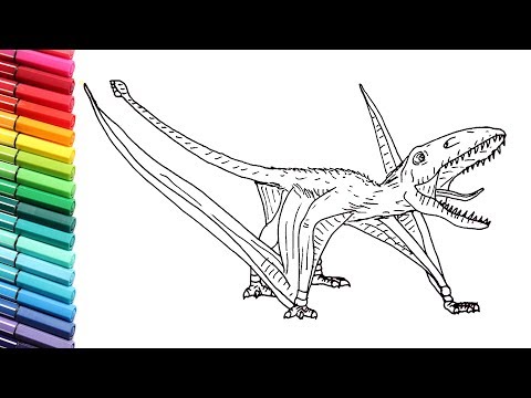 Drawing and Coloring The Dimorphodon From Jurassic World – Dinosaurs ...