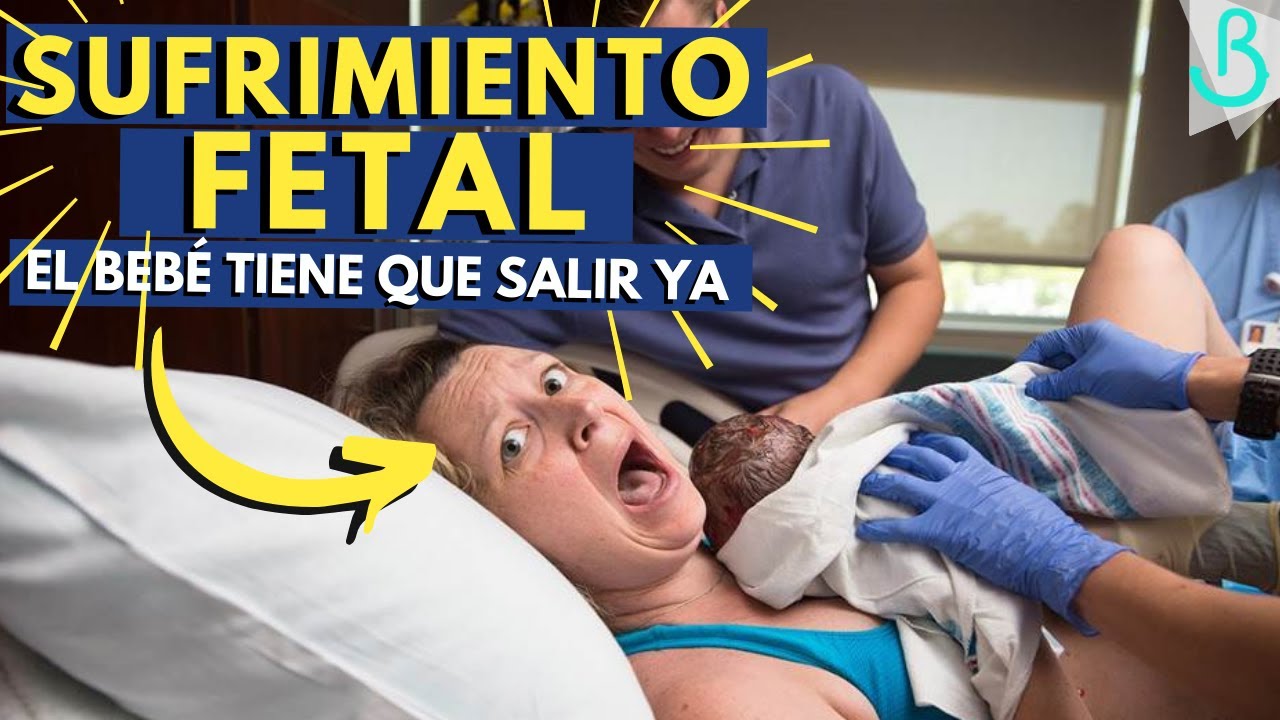🫀👶🏻CAUSES OF FETAL DISTRESS. HOW IS IT DETECTED DURING CHILDBIRTH? || Baby Suite by Pau