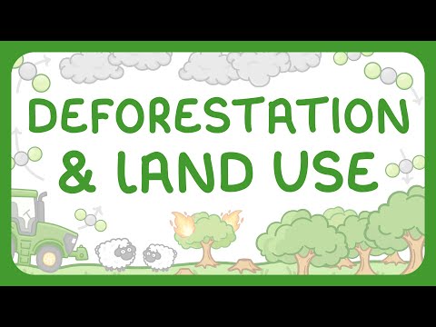 GCSE Biology - Deforestation & Land Use