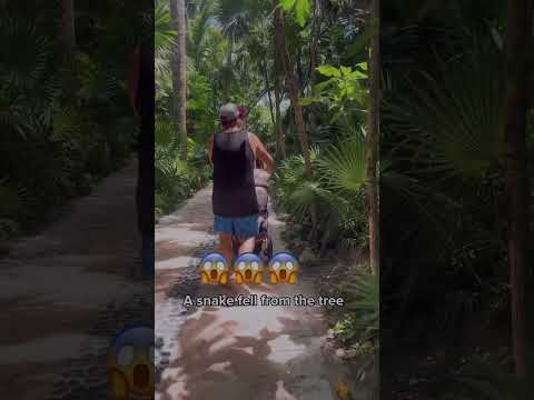 Xcaret Park Experience Tips #cancunmustdo #cancun #mexico #travel #traveltips #travelmama #travelmom