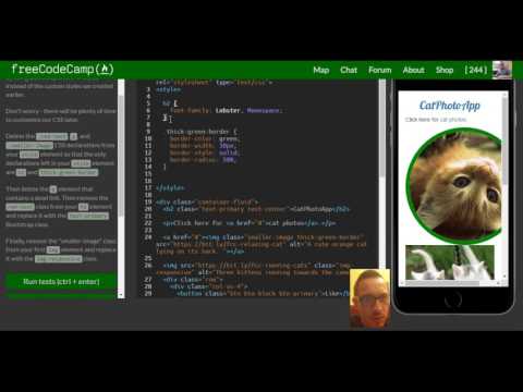 Ditch Custom CSS for Bootstrap, freeCodeCamp Bootstrap Review, lesson 10
