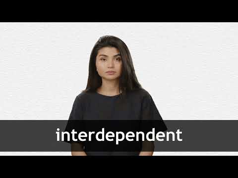 INTERDEPENDENT - Definition & Translations | Collins English Dictionary