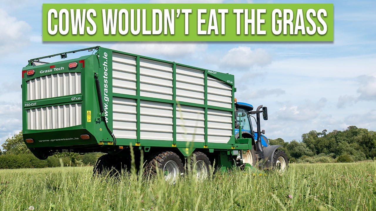 Is Zero Grazing Really Better for the Environment??