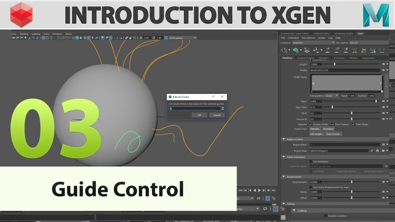 Introduction to Xgen: 03 Guide control