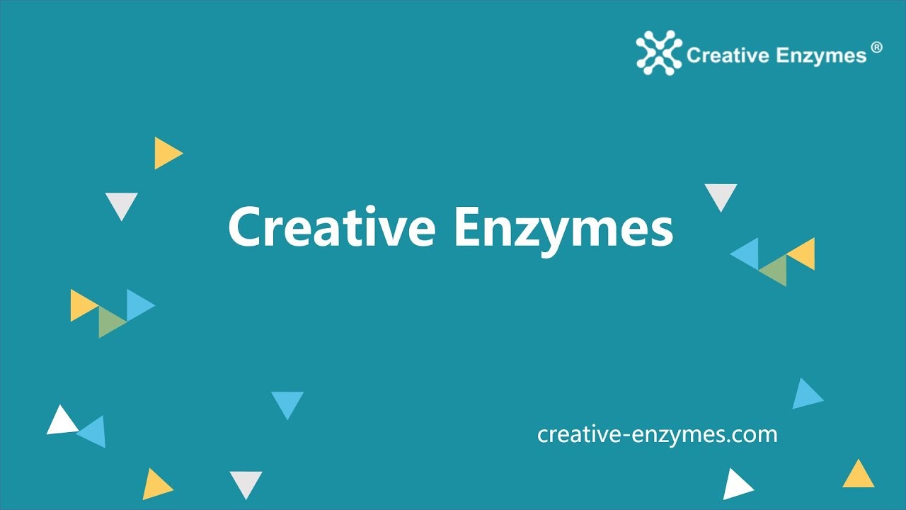 Creative Enzymes