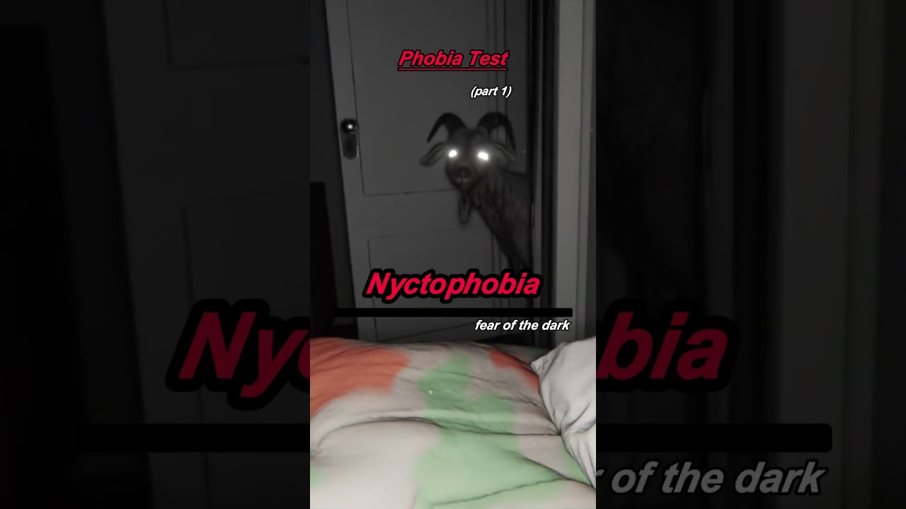 Phobia Test (part 1)