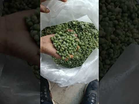Frozen Peas - Wholesale Price & Mandi Rate for Frozen Peas in India