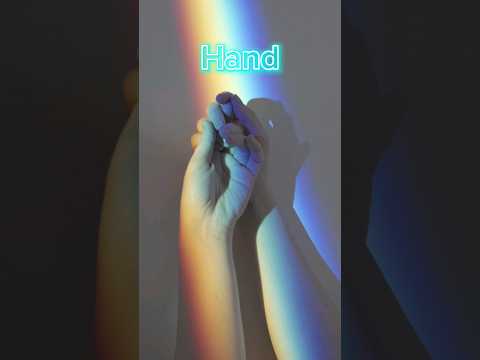 HAND - MEDICAL DEFINITION | Medical Consecutive Interpreting