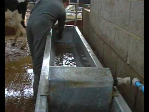 Cattle Water Trough at Best Price in India