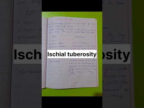 Ischial tuberosity #shortnotes #anatomy #shorts #ytshorts #youtubeshorts #trendingshorts #viral