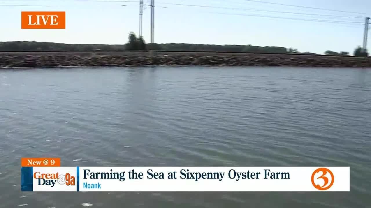 Sixpenny Oyster Farm