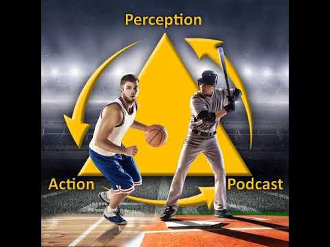 323 - The Role of Movement Efficiency & Economy in Motor Learning: A Constraints-Based Framework
