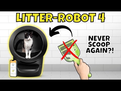 Litter-Robot 4 Review | Is This $699 Litter Box Worth It?