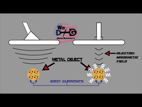 The Benefits Of A Metal Detector – The Life of Kamper 054
