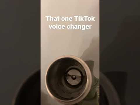 That one TikTok voice changer