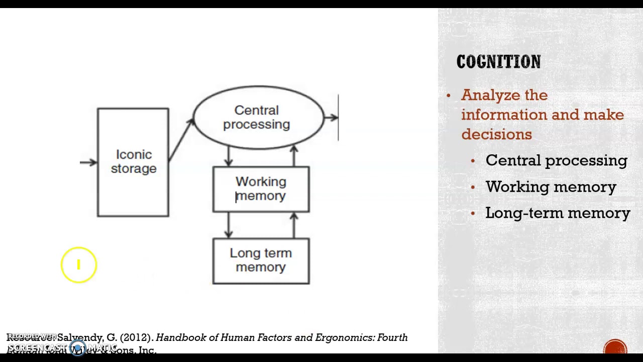 PowerPoint task: Human Information Processing