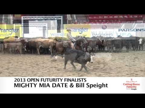 2013 CS CHF Open Futurity FINALISTS