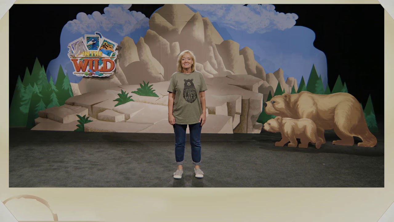 vbs 19 Go Wild