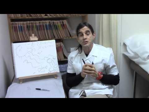 The Learning Lab: Volume 21. Cellular Field Concept. 786-354-1977