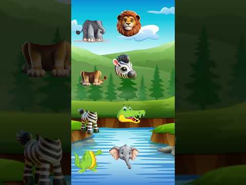 guess the animal head. #puzzle #animals #cartoon #animation #kartun #funny