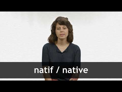English Translation of “NATIF” | Collins French-English Dictionary