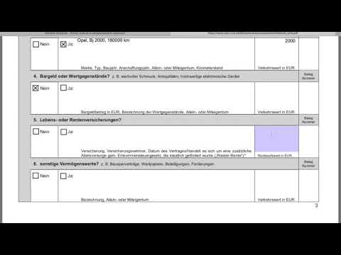 Jak wypelnic formularz na Prozesskostenhilfe (PKH), aby koszty sadowe i adwokata zostaly pokryte?