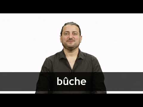 English Translation of “BÛCHE” | Collins French-English Dictionary