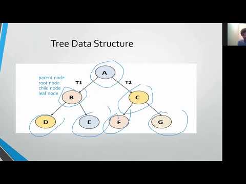 Non linear Data Structure