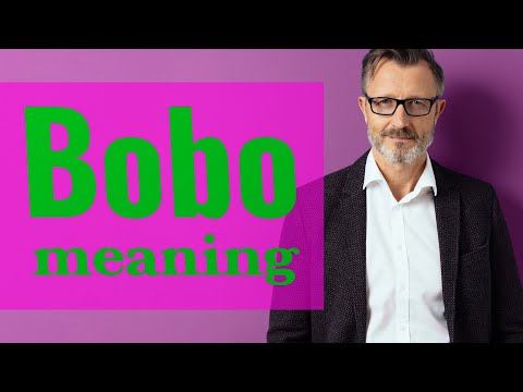 Bobo | Definition of bobo