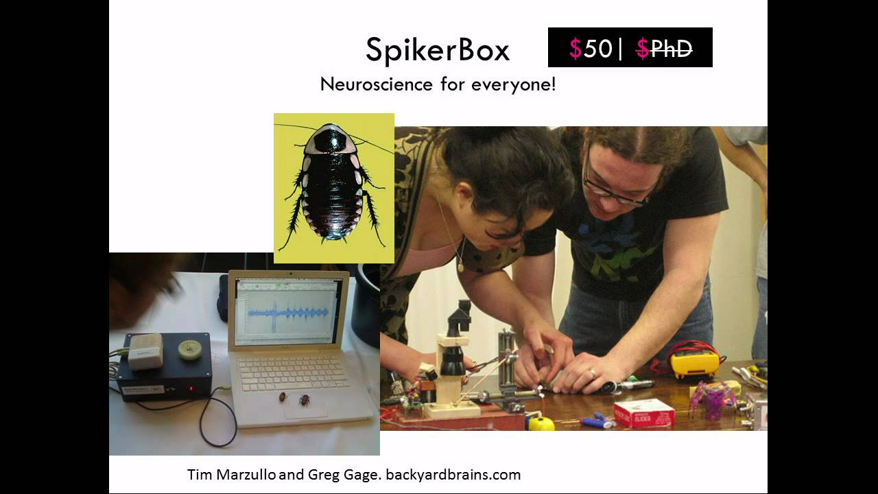 OSCON 2011:  Eri Gentry, 