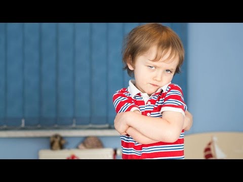 What Is the DIR Method? | Autism