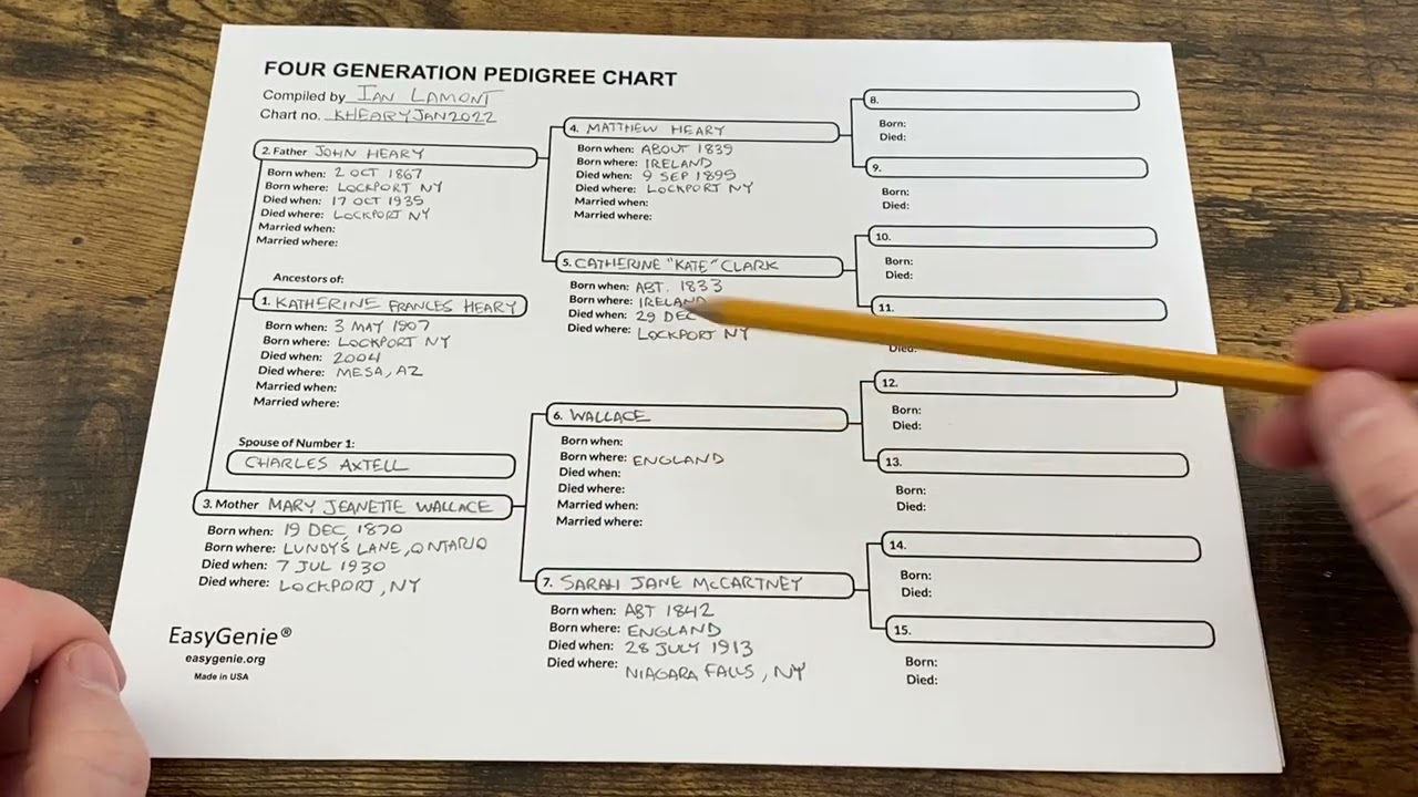 How to use pedigree charts to track genealogy and identify areas for future research