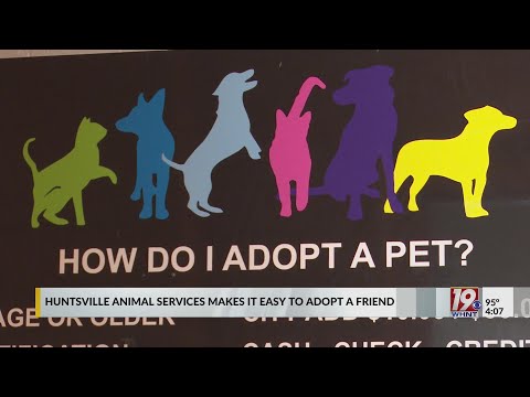 Huntsville Animal Services Makes It Easy to Adopt a Friend