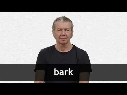BARK definition and meaning | Collins English Dictionary