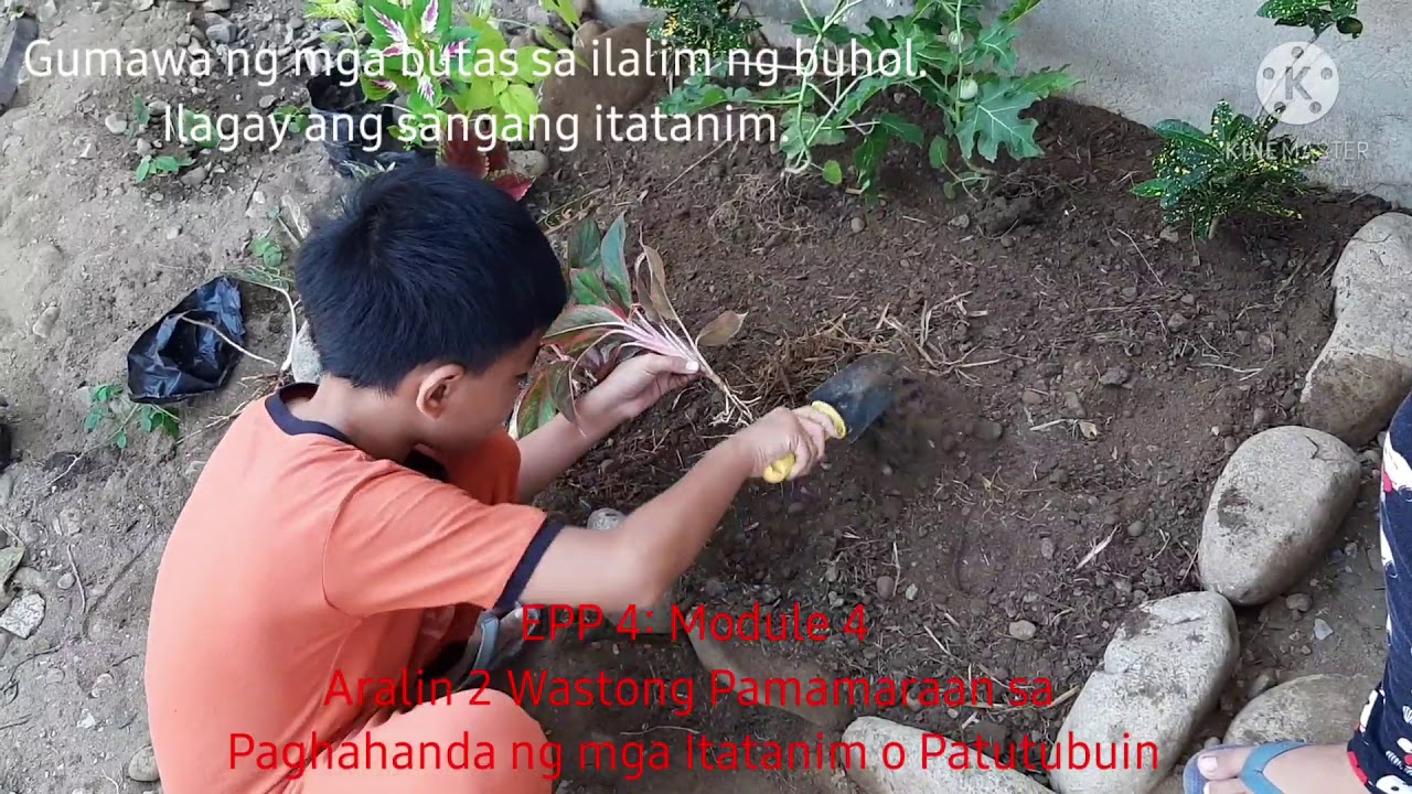 EPP 4 Performance Tasks