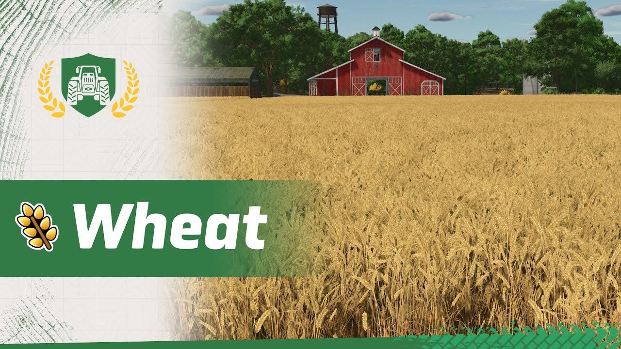 [Tutorial] How to Sow & Harvest WHEAT | Farming Simulator Academy