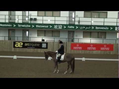 Jazz'n'Dave's Novice 39