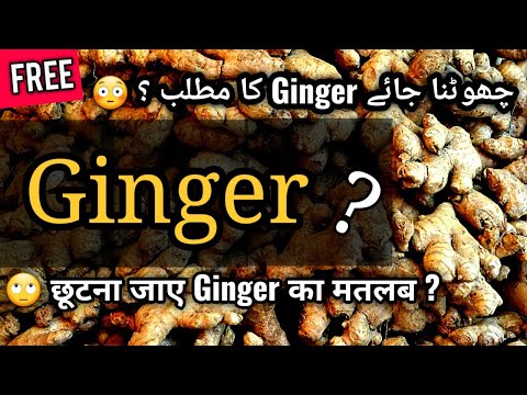 Ginger meaning in HINDI/URDU | Ginger Pronunciation | Ginger Pronounce | Sabji ke naam | adarak