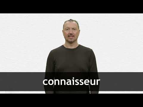 English Translation of “CONNAISSEUR” | Collins French-English Dictionary