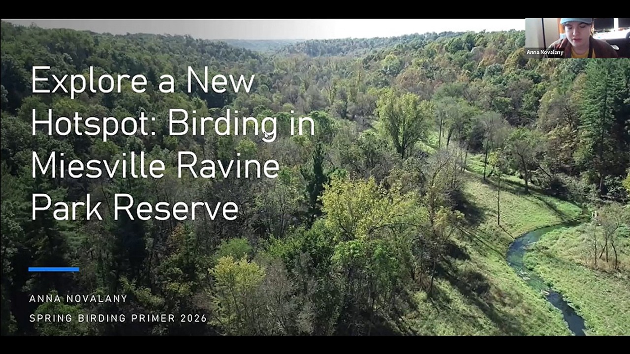 2026 Spring Birding Primer | Explore a new Hot Spot: Birding Miesville Ravine - Anna Novalany