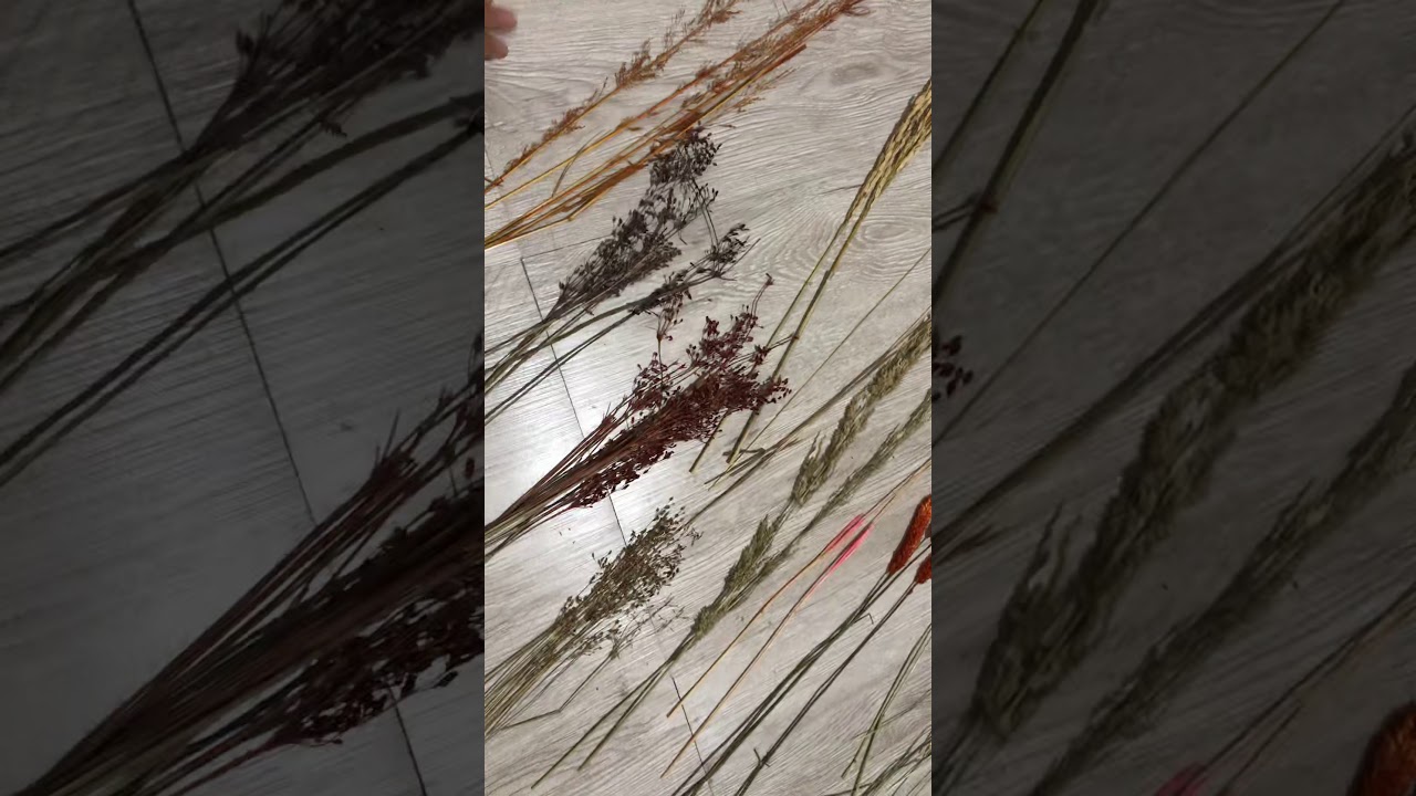 Bunga kering dekorasi review shopee