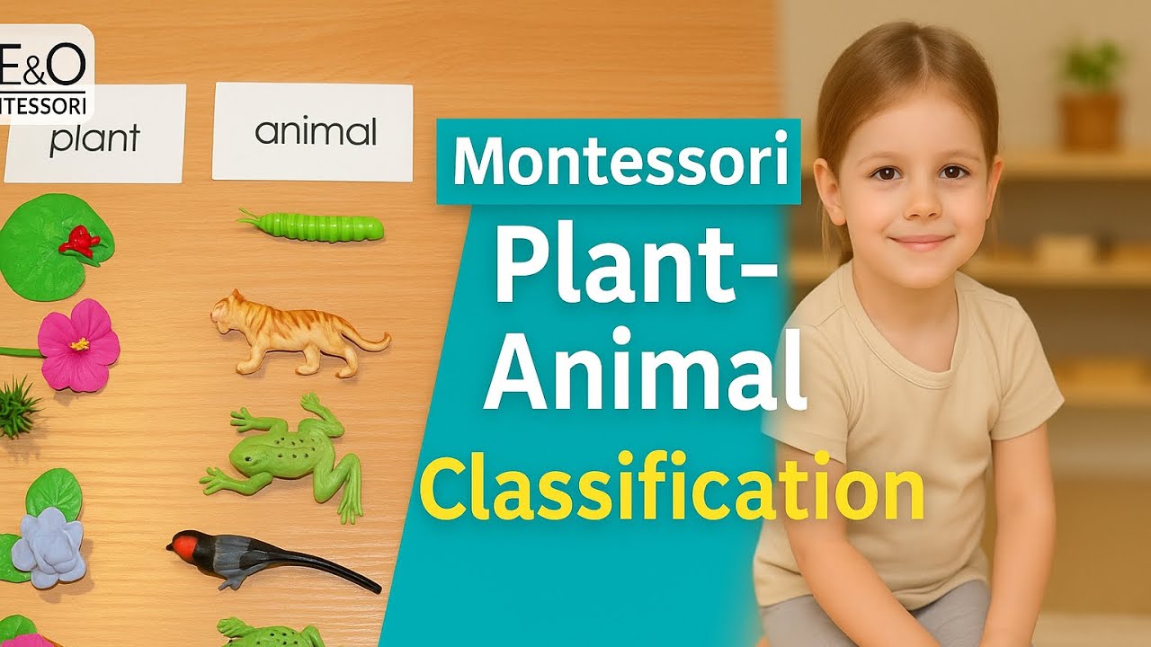 Montessori Cultural Activities - Plant/Animal Classification @E&O Montessori #montessori #parenting