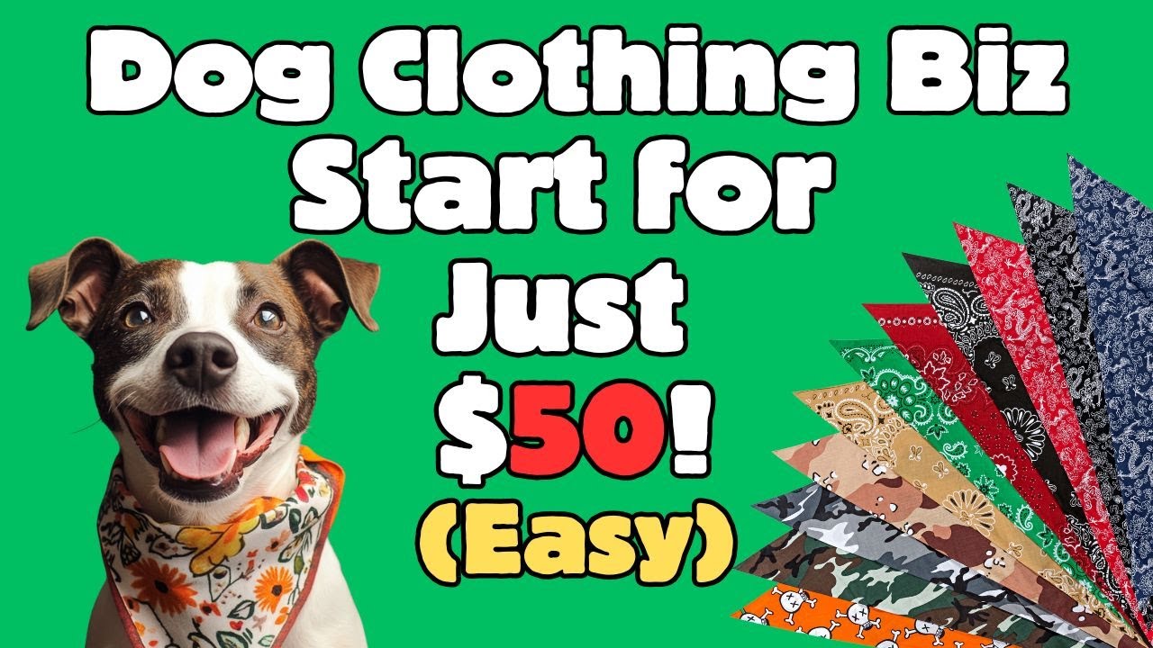 Start a Dog Clothing Business for $50 (Easy & Profitable!)