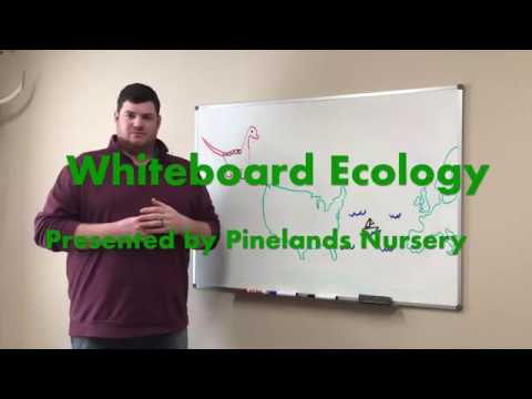Whiteboard Ecology: What is a Native Plant?
