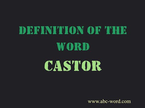 Definition of the word "Castor"